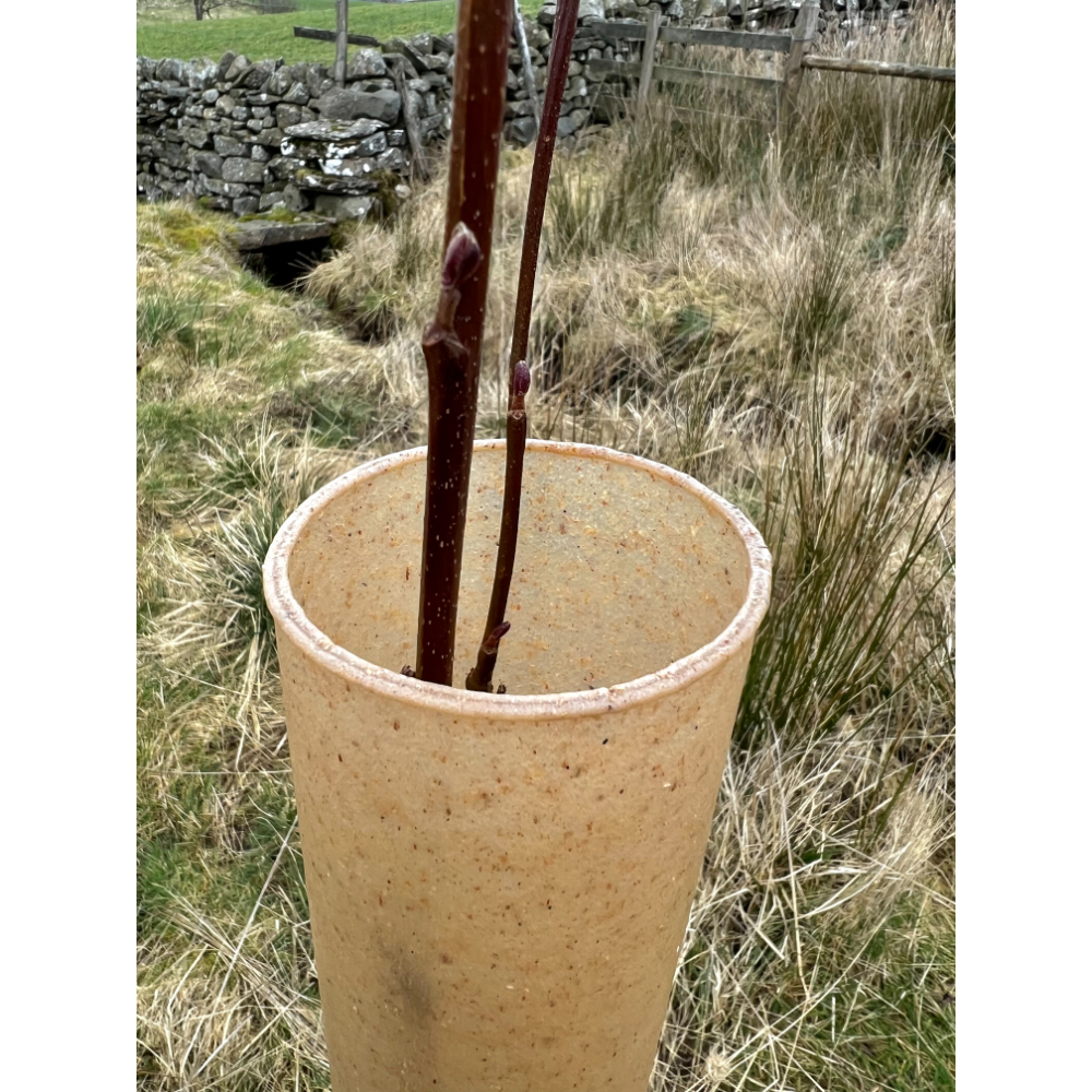 Rainbow Terra Biodegradable Tree Shelter - Biodegradable Tree Planting Range | Green-tech